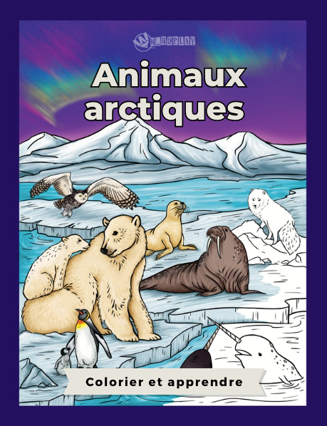 Animaux arctiques - Colorier et apprendre – Wrdplay