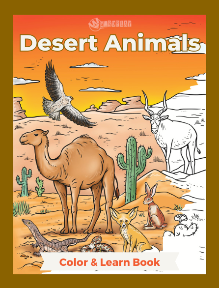 Desert Animals Coloring Book – Wrdplay